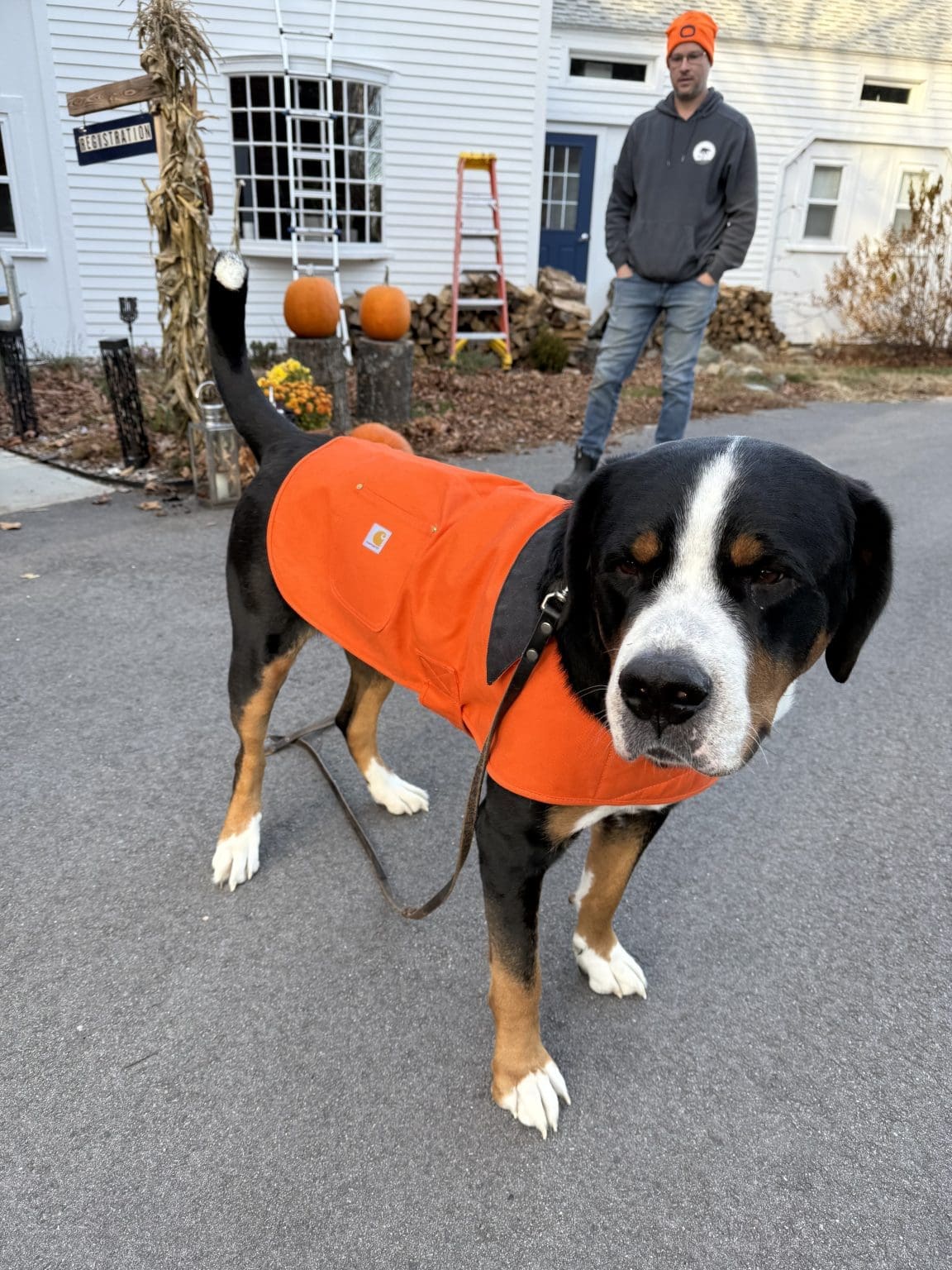 Blue Bear Inn on Crotched Mountain | Francestown, New Hampshire